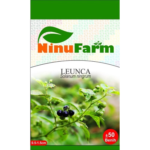 Jual Benih Bibit Buah Leunca Hitam/Buah Ranti Ninufarm (50 Butir ...