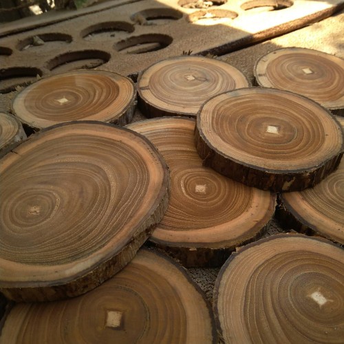 Jual SLICE WOOD MENTAHAN AKAR KAYU JATI - TOP TABLE / TATAKAN POT AKAR ...