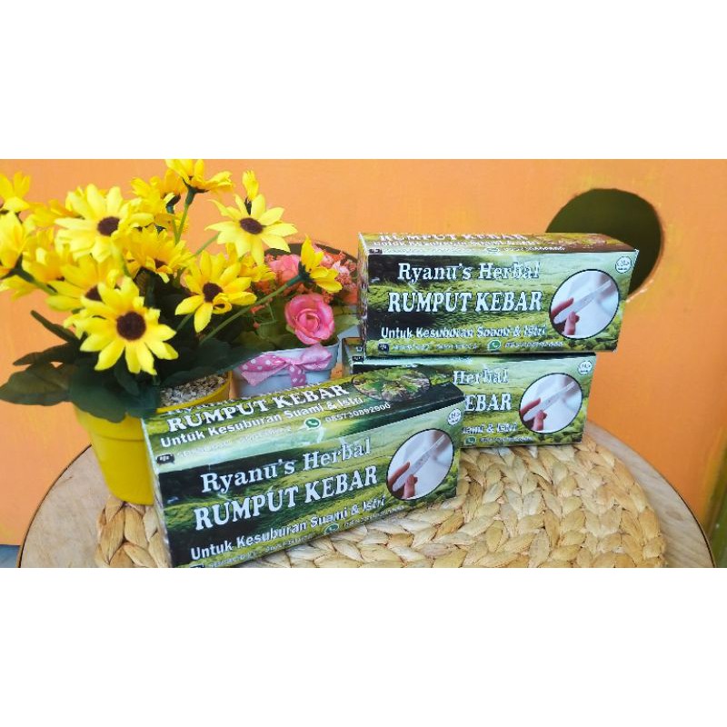 Jual TEH RUMPUT KEBAR ORIGINAL | Shopee Indonesia