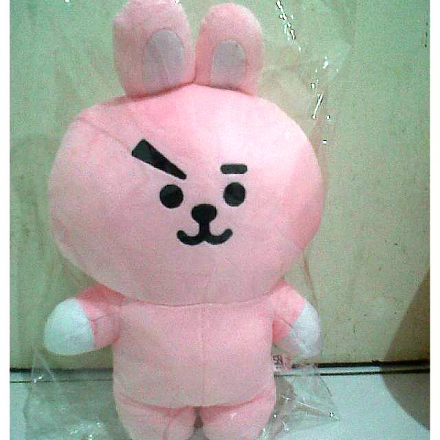 Jual BONEKA KOREA KPOP BTS BT21 ( COOKY ) | Shopee Indonesia