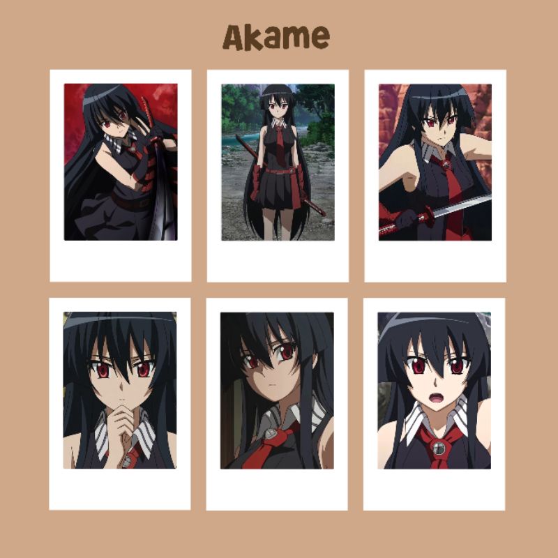 Jual Polaroid Anime Akame ga kill Akame Tatsumi Esdeath Leone Mine ...