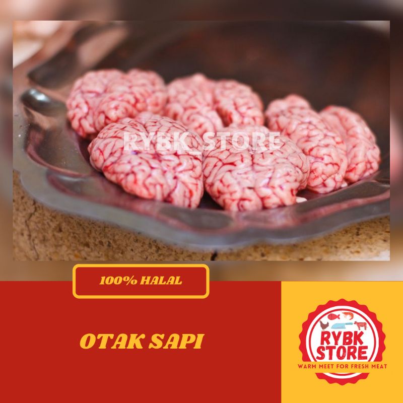 Jual OTAK SAPI LOKAL / PER PCS | Shopee Indonesia