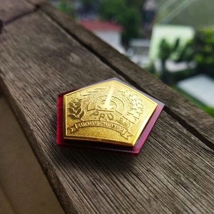 Jual PIN PPD PIN LOGAM PERUM PPD MIKA AKRILIK / POLOS | Shopee Indonesia