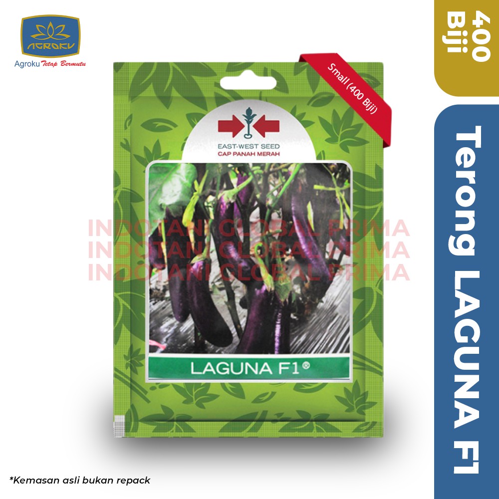 Jual Benih Terong LAGUNA Small Pouch 400 Biji - Cap Panah Merah | Shopee Indonesia