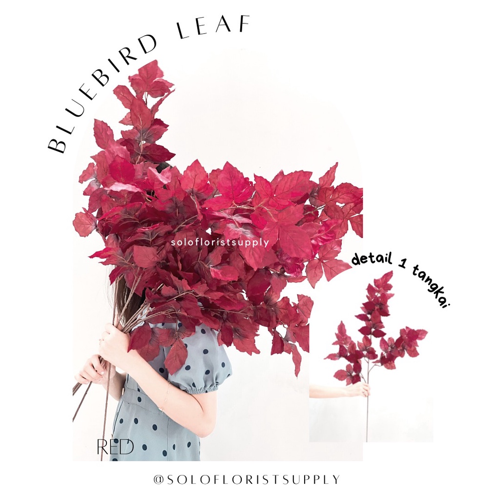 Jual BLUEBIRD LEAF DAUN BLUE BIRD Artificial Eucalyptus Long Stem 4 ...