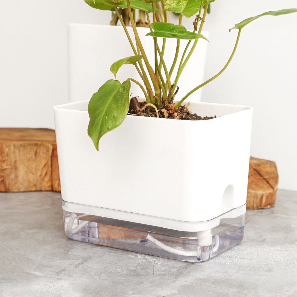 Jual Pot Tanaman dalam Ruangan Easy Plant V2 Self Watering Pot Block ...