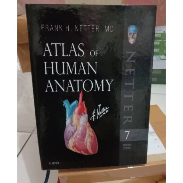 Jual Buku Atlas Of Human Anatomy 7th Seventh Edition By Frank Netter 7 | Shopee Indonesia