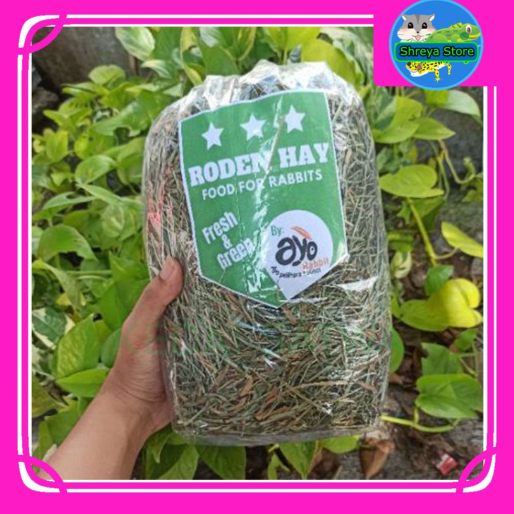 Jual Timothy Hay Rumput Kering Pakan Kelinci Marmut Guinea pig atau ...