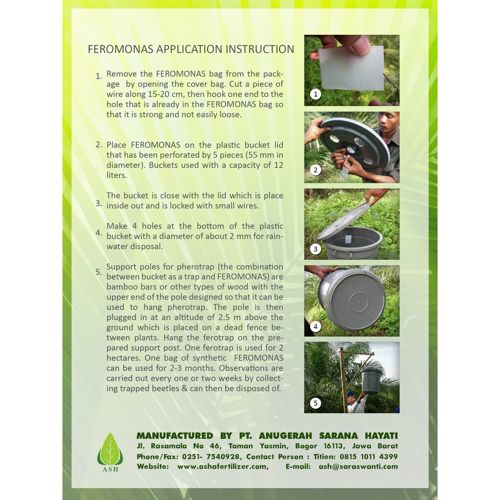 Jual FEROMONAS Feromon Pengendali Hama Kumbang Tanduk pada Kelapa Sawit ...