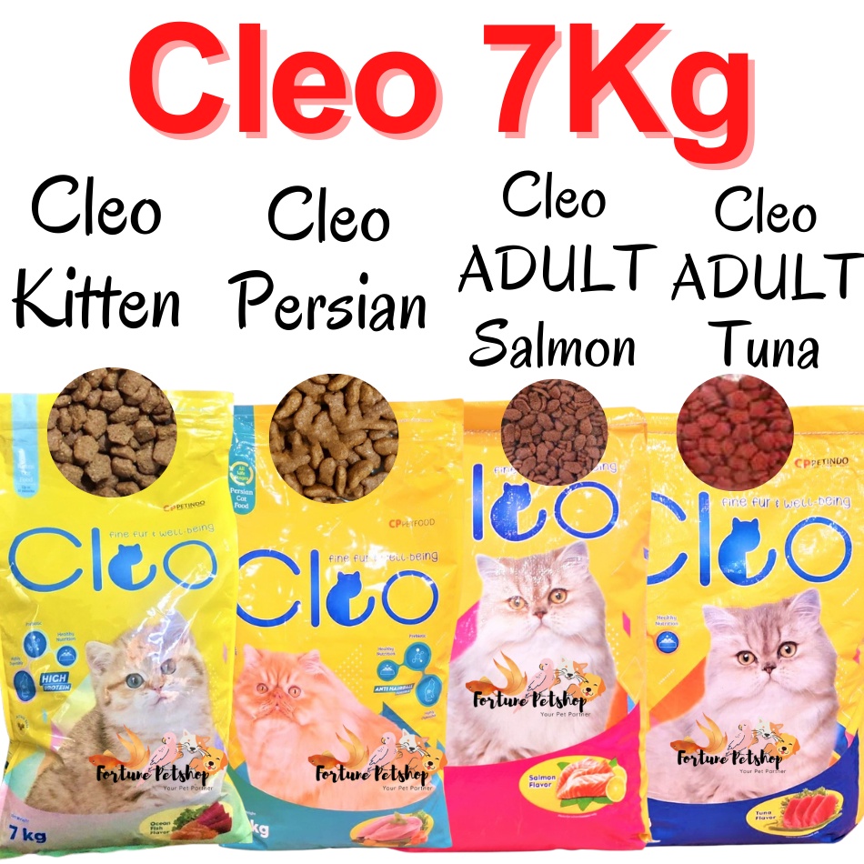 Jual Cleo Persian / Cleo kitten / Cleo adult tuna / Cleo adult salmon 7 ...