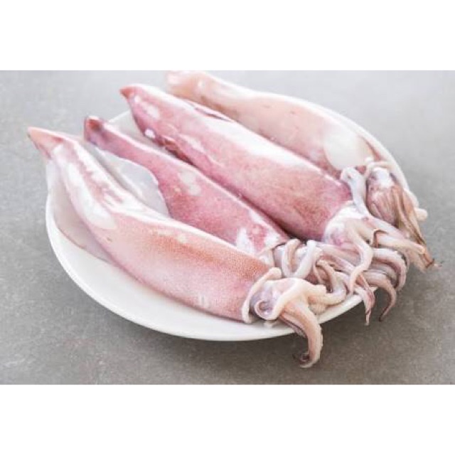 Jual Cumi-cumi Segar Fresh squid / Cumi Bangka - Sero enak Kiloan Pasar ...
