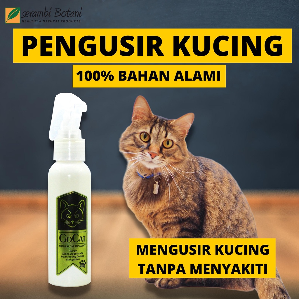 Jual Spray Pengusir Kucing Buang Kotoran Sembarangan (Go Cat Spray ...