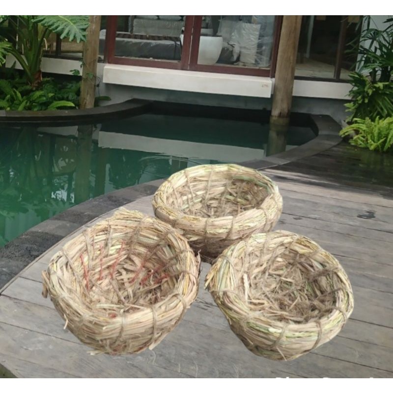 Jual susuh sarang serat jerami utk bertelur perkutut. Kenari. lovebird ...