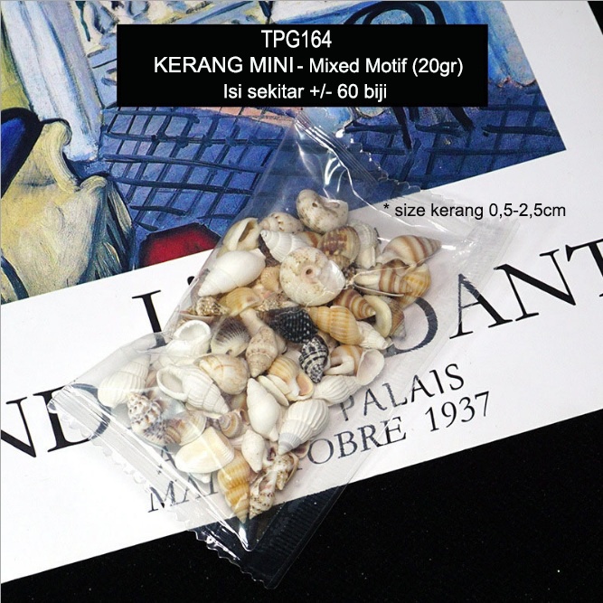 Jual Topping Pasir Kerang Bintang Laut Isian Resin Pantai Hiasan Manik ...