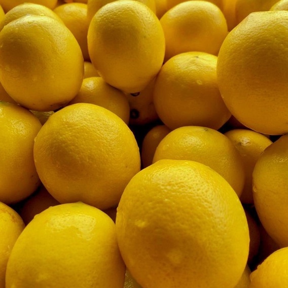 Jual Jeruk Lemon California 1 Kg Segar dan Fresh untuk Diet dan Detox ...