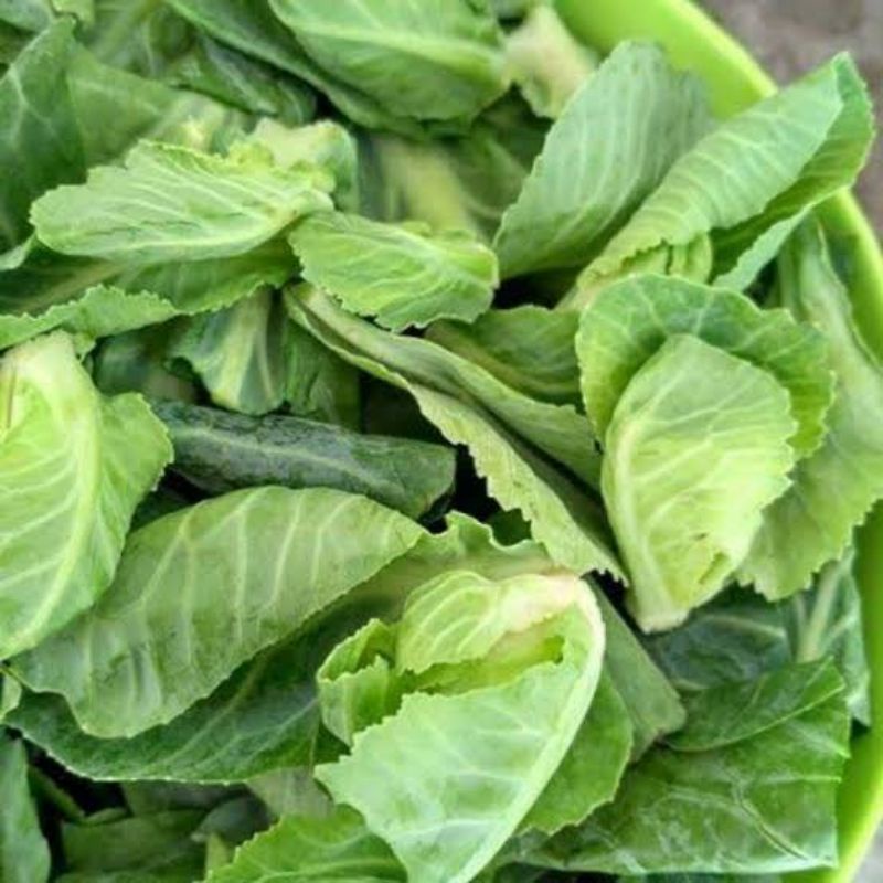 Jual baby kol 250 gr | Shopee Indonesia