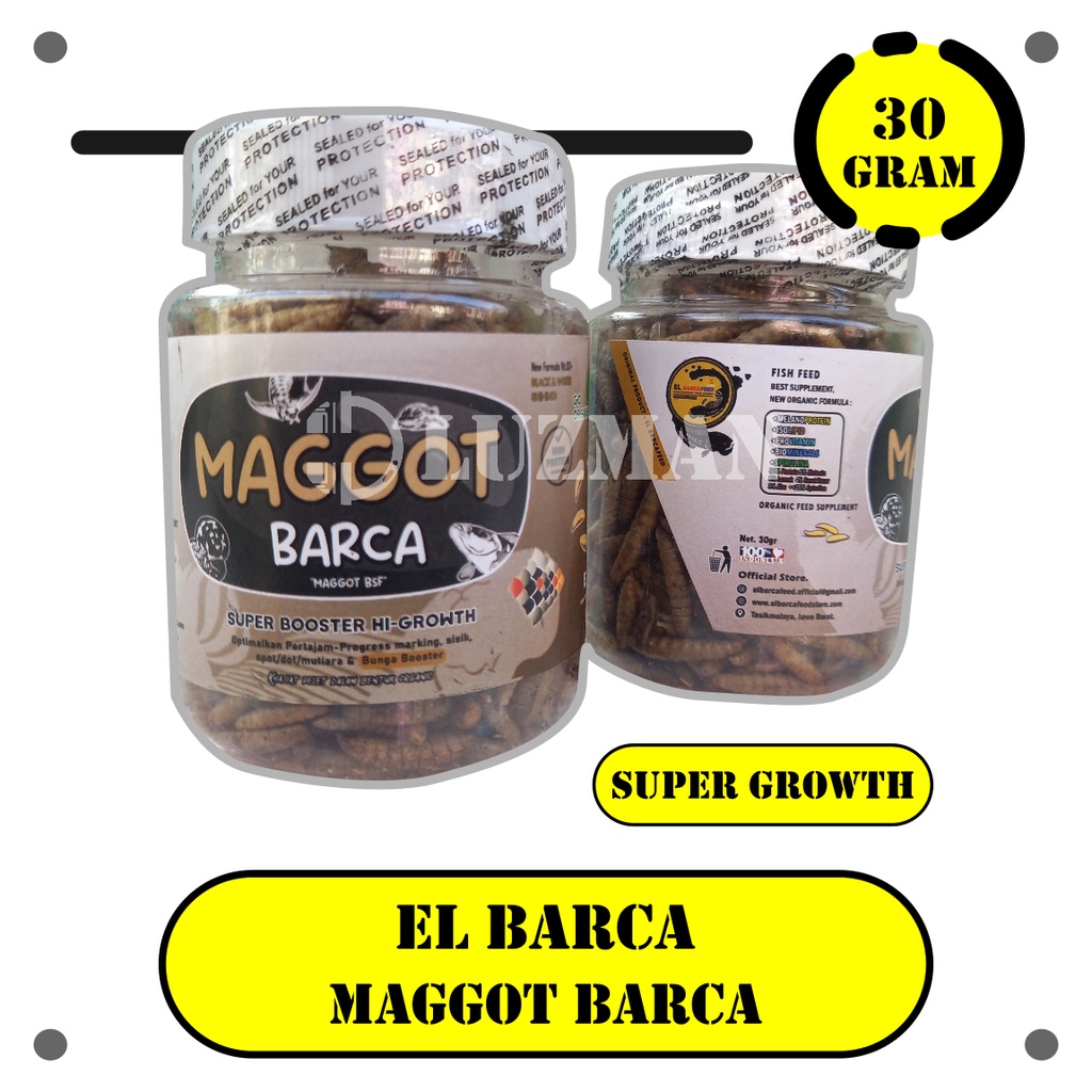 Jual MAGGOT BARCA [SUPER GROWTH++] MAGGOT BSF 30gr BUNGA BOOSTER ...