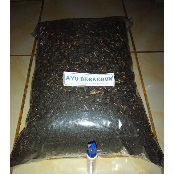 Jual media tanam sekam bakar 1kg / media tanam arang sekam 1kg / kulit ...