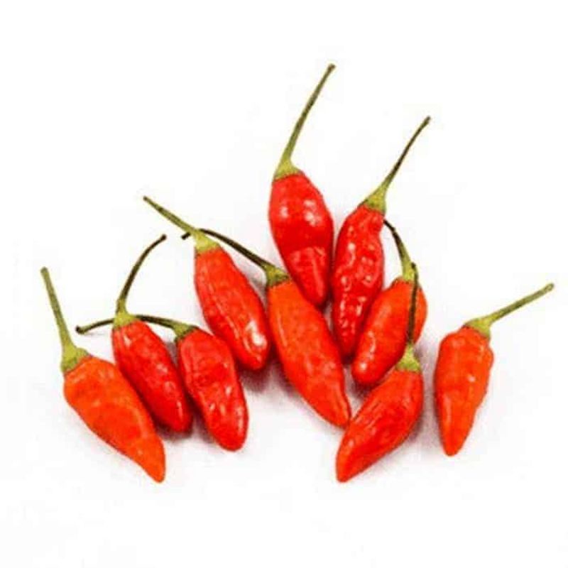 Jual Sayur Sayuran Segar Cabe Rawit Cabe rawit merah 100gr sayur ...