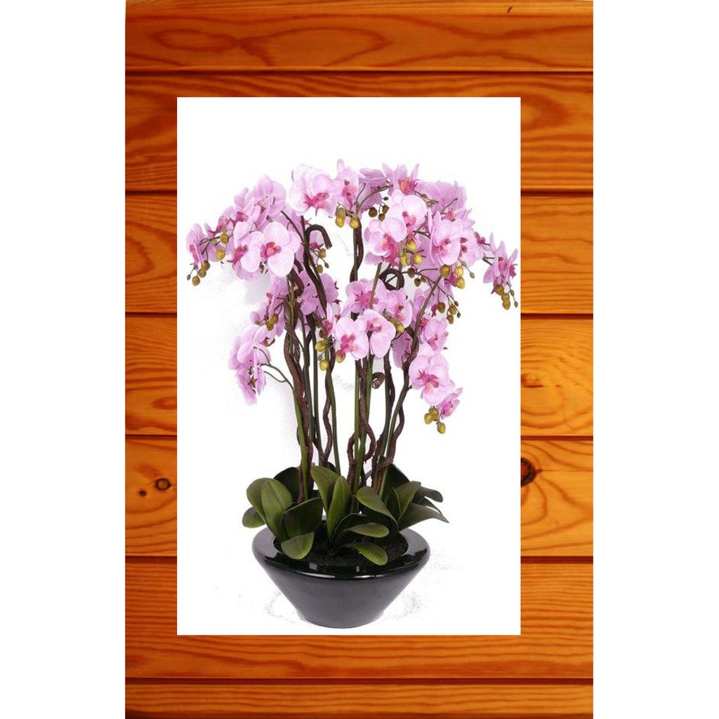 Jual HIASAN DINDING BUNGA ANGGREK RCS-027 | Shopee Indonesia