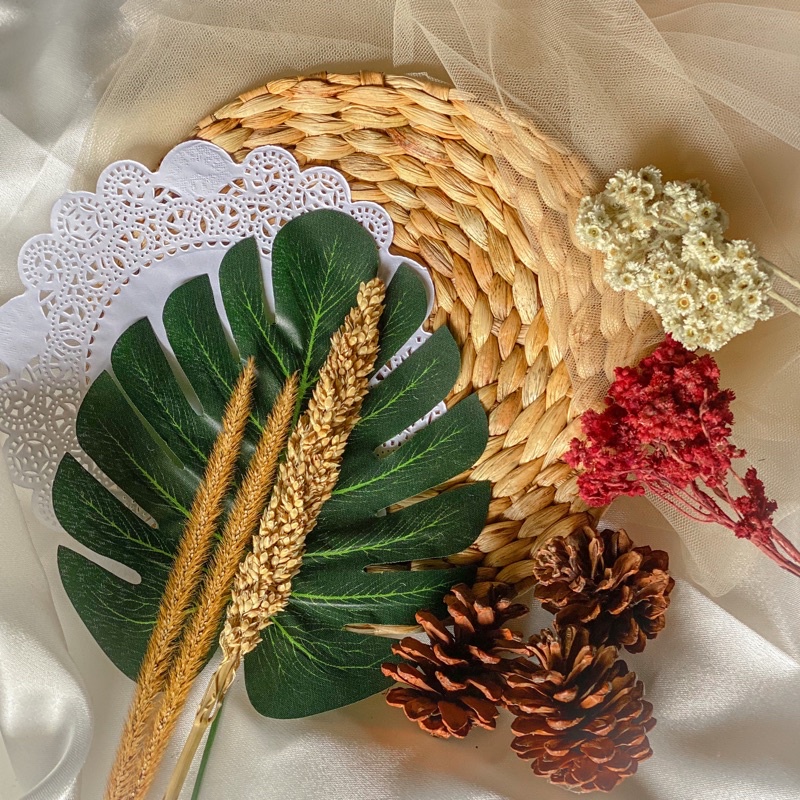 Jual PAKET PROPERTI FOTO PRODUK AESTHETIC VERSI 6 | Shopee Indonesia