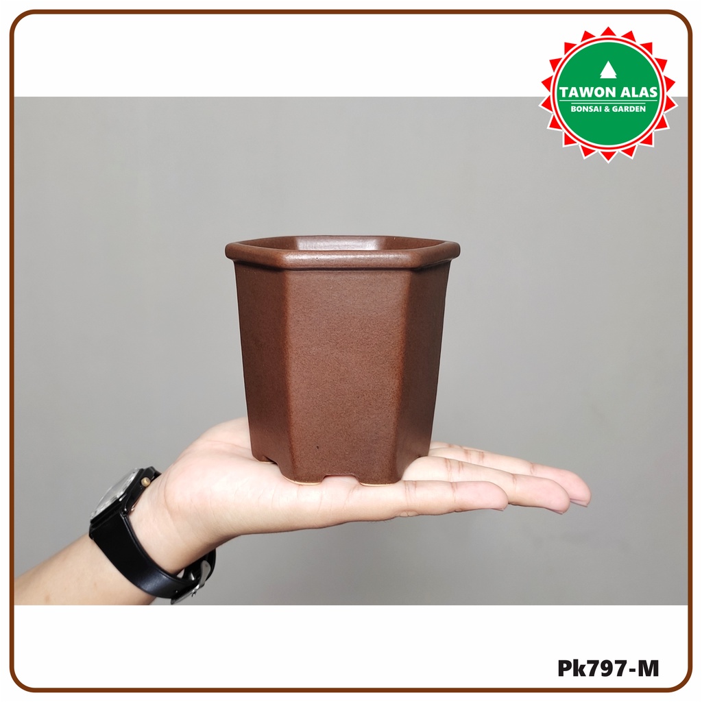 Jual Pot Keramik Bonsai Segi Enam Unik | Shopee Indonesia