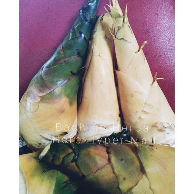 Jual REBUNG BAMBU KUNING AMPEL ORIGINAL 1KG | Shopee Indonesia