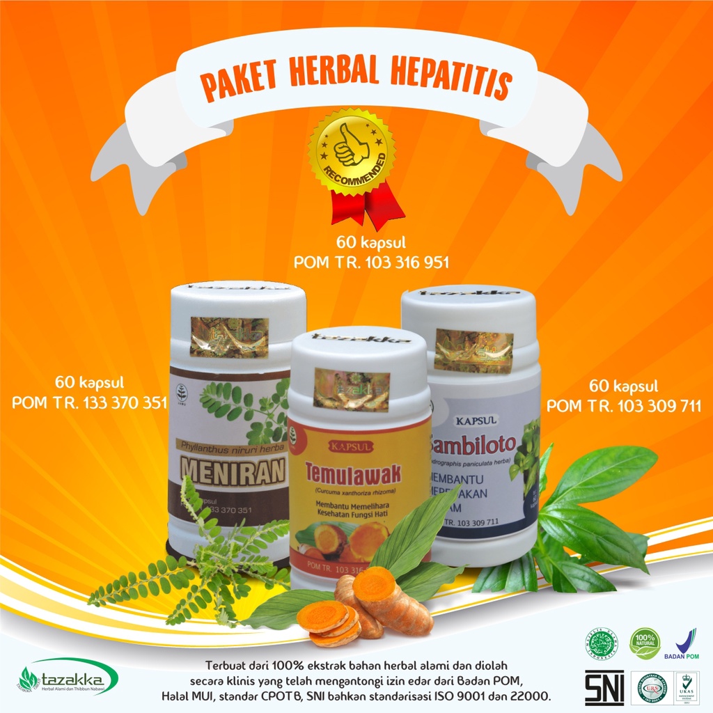 Jual Obat Hepatitis Hati Liver Ekstrak Temulawak Curcuma Meniran Daun ...