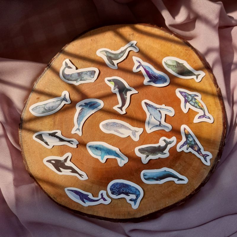 Jual Sticker Aesthetic Paus Motif Lucu untuk Sticky Notes Scrapbook ...