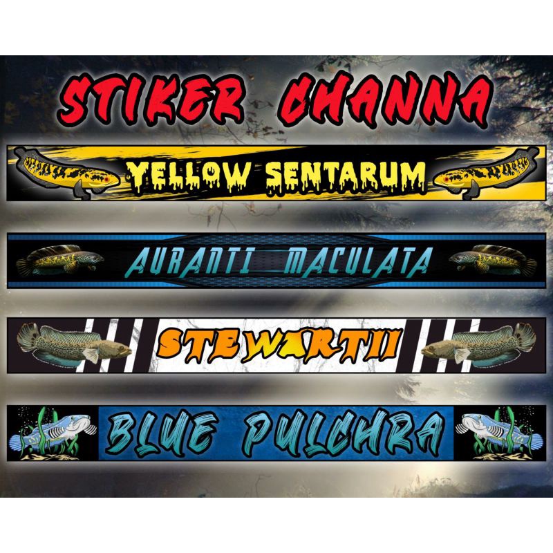 Jual STIKER AQUARIUM AKUARIUM CHANNA STICKER PREDATOR | Shopee Indonesia