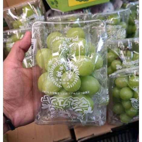 Jual buah anggur shine muscat original jepang | 100% asli jepang 1 pack ...