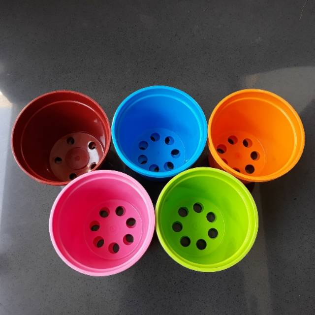 Jual Pot tanaman diameter 8 cm | Shopee Indonesia