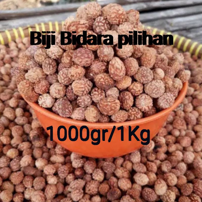 Jual Biji Bidara 1kg | Shopee Indonesia