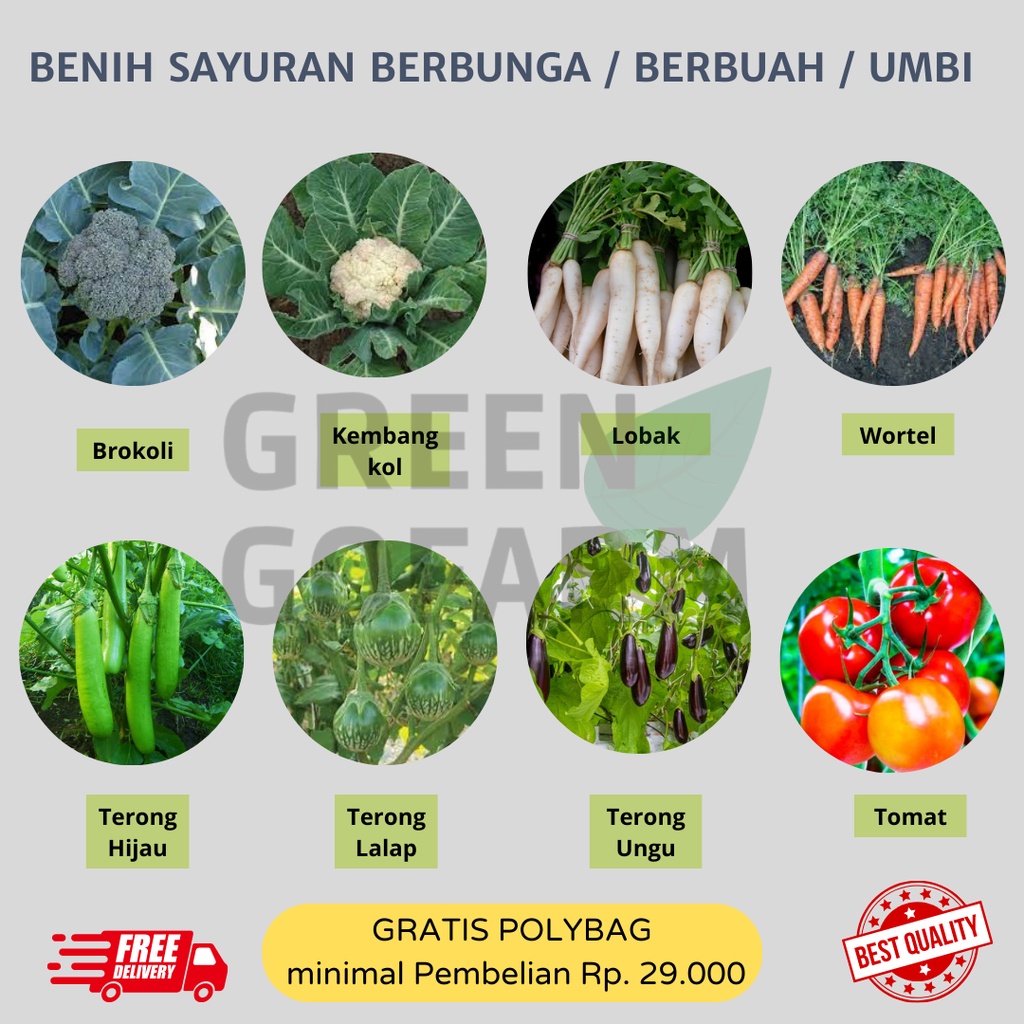 Jual Benih Tanaman Hanya Seribu - BENIH SAYURAN BERBUAH/UMBI/BERBUNGA ...