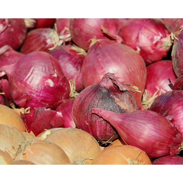 Jual BAWANG MERAH SEGAR ASLI DARI PETANI PILIHANI ISI 1KG | Shopee ...