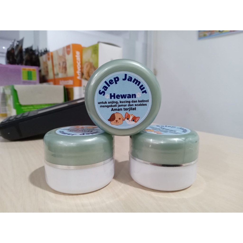 Jual SALEP JAMUR HEWAN (AMAN TERJILAT) 10gr | Shopee Indonesia