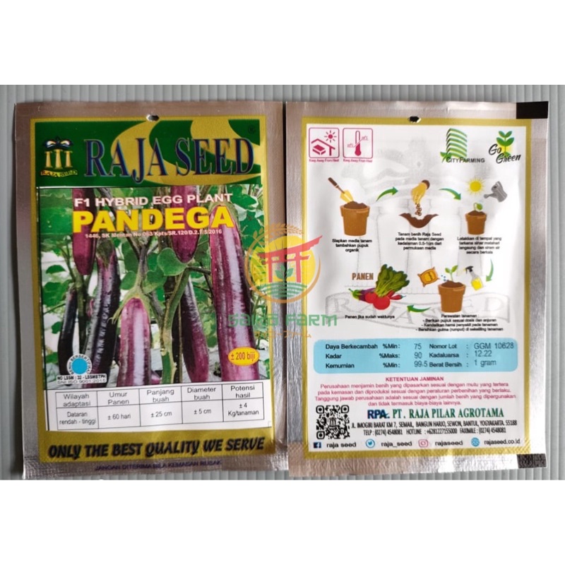 Jual Raja Seed F1 Hybrid Egg Plant Terong Ungu Pandega | Shopee Indonesia