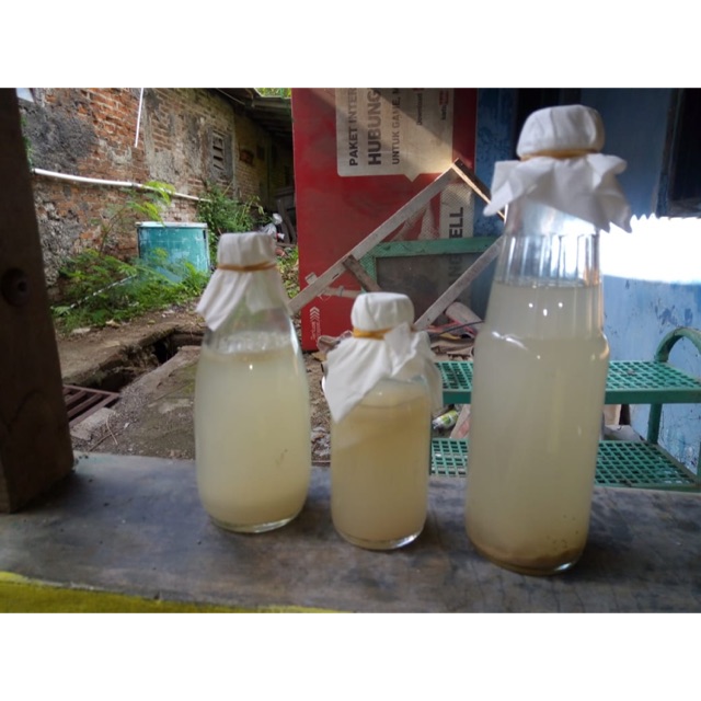 Jual starter nata de coco 200 ml | Shopee Indonesia