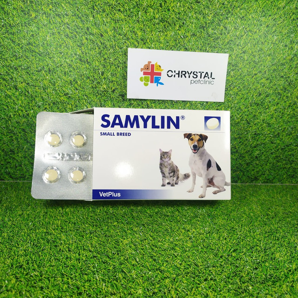 Jual SAMYLIN SMALL BREED PER TABLET | Shopee Indonesia
