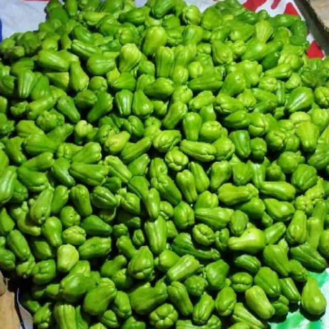 Jual Labu siam baby lalap sayuran segar /1kg | Shopee Indonesia