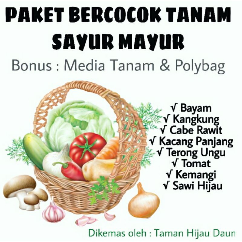 Jual Benih Sayur Mayur Paket Bercocok Tanam Bonus Media Tanam dan ...