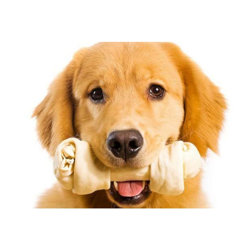 Jual Snack Anjing Knotted Bone 2,5 - 4.5" Snack Tulang 6 - 11,5 cm ...