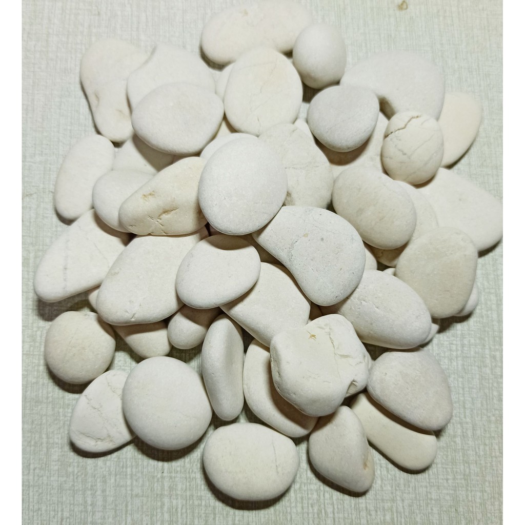 Jual Batu Hias Taman Putih Kemasan 1 kg | Shopee Indonesia