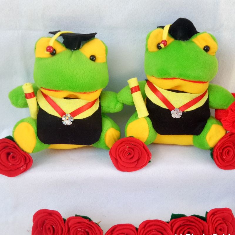 Jual BONEKA WISUDA KODOK 15cm /BONEKA KARAKTER /BONEKA WISUDA MINI ...