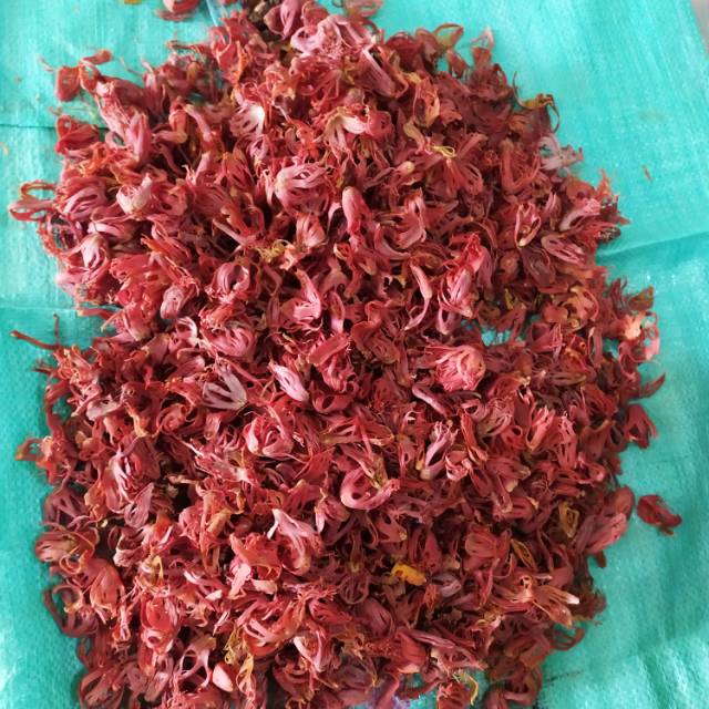 Jual Bunga Pala Fuli Mace 1kg | Shopee Indonesia