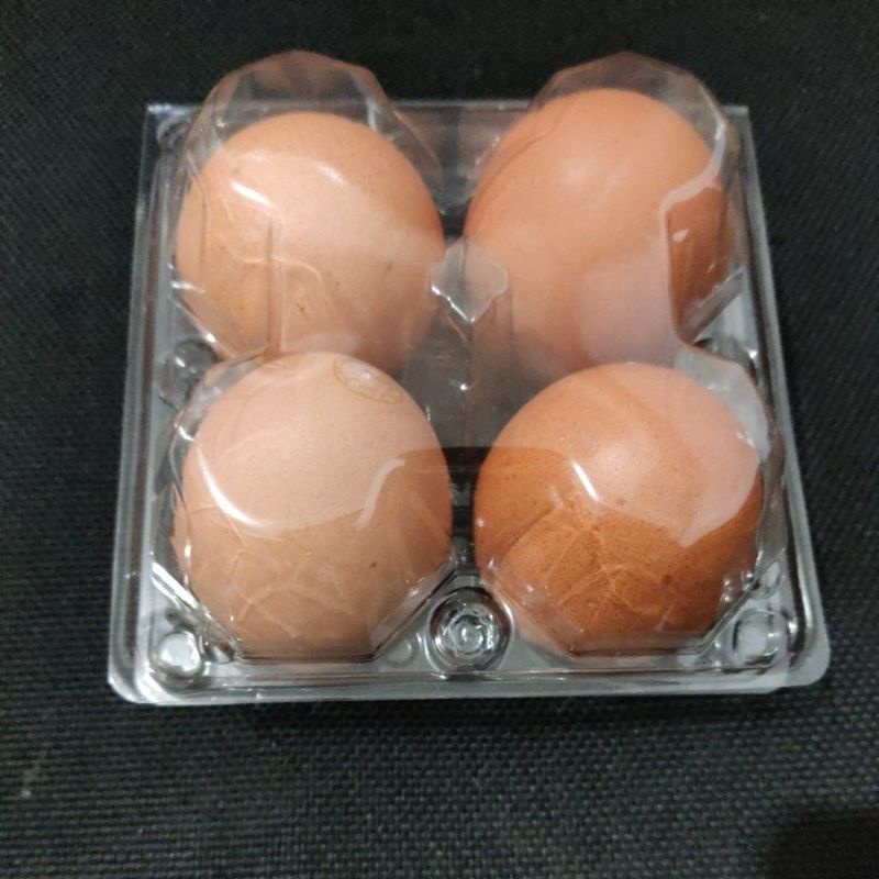 Jual [ 50 PCS ] Mika Telur 4 Butir Kancing / Egg Tray / Tray Telur 4 ...