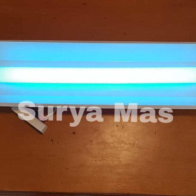 Jual Lampu TL Bayi Lampu Sinar biru Philips 18w Blue light Komplit ...
