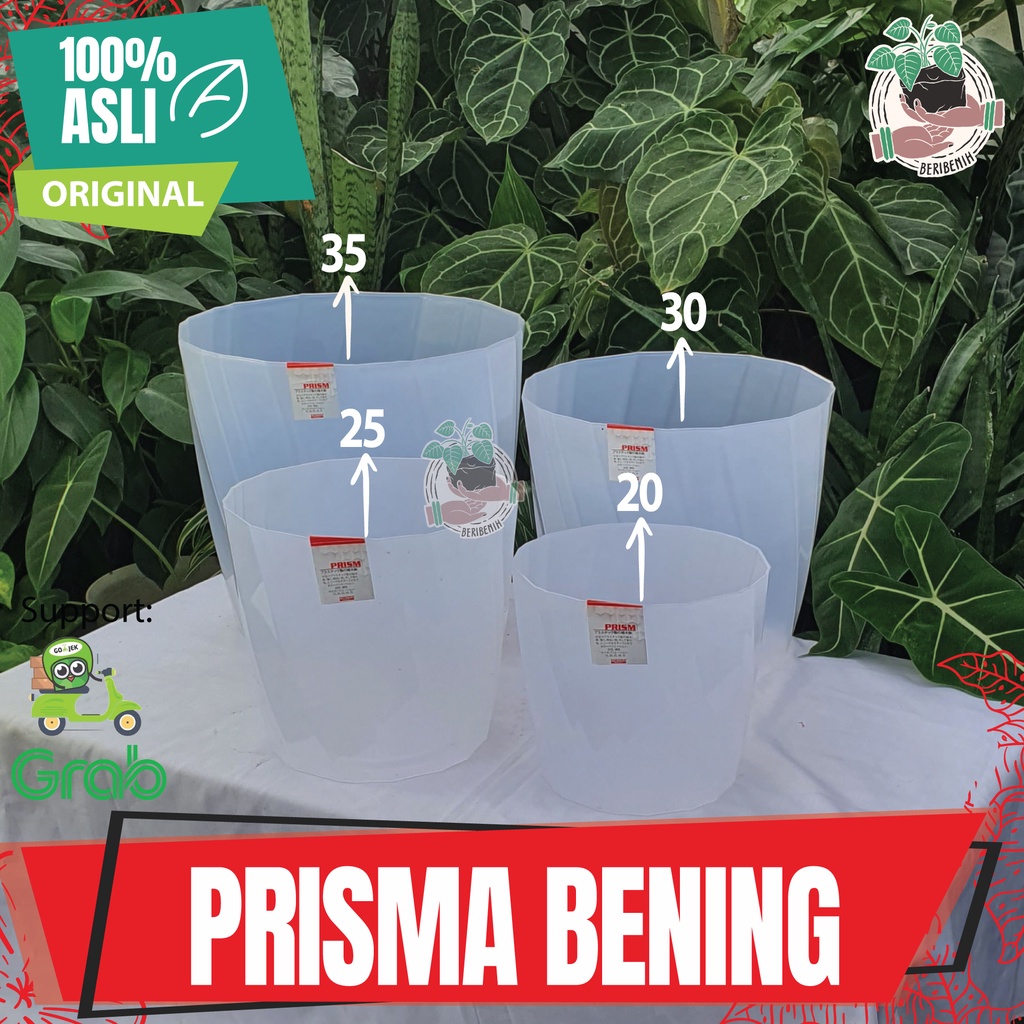 Jual Pot Tanaman Hias Bunga Tabitha Twist Flower Prisma Bening Pot ...