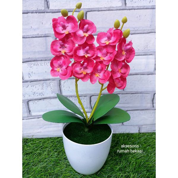 Jual Bunga anggrek artificial dengan pot ember lumut | Shopee Indonesia