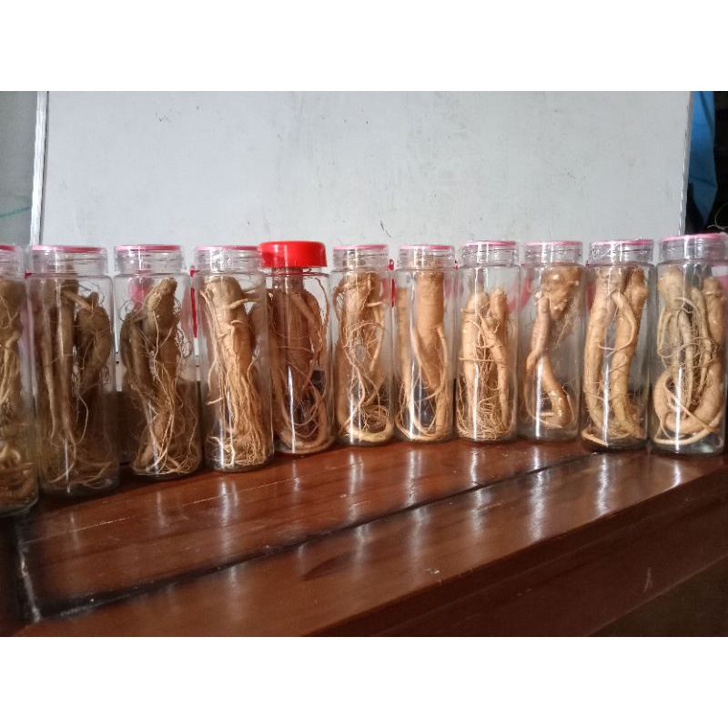 Jual ginseng merah Korea+ Botol 500,ml (cod) | Shopee Indonesia
